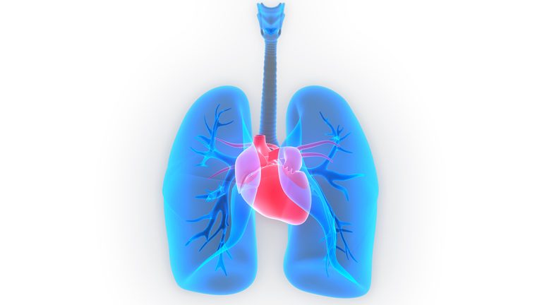 Breathe Your Way Into Healthy Heart Rates – MedFitNetwork