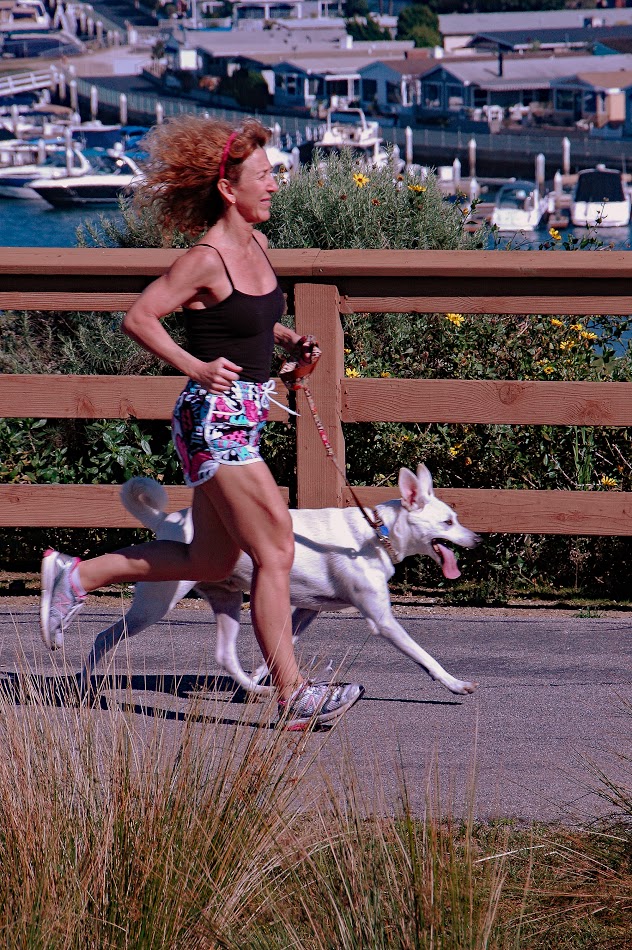 Lisa Dougherty – MedFitNetwork